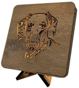 Li-Go "Jezevčík krátkosrstý" lampa 19x19cm provedení povrchu: jedle