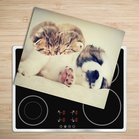Skleněná krájecí deska Dvě kočky a pes 60x52 cm
