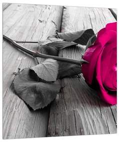 Obraz růžové růže (30x30 cm)