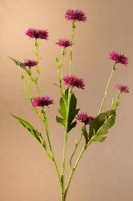Paramit SWEET DAISY Aranžovací květina vínová 54 cm