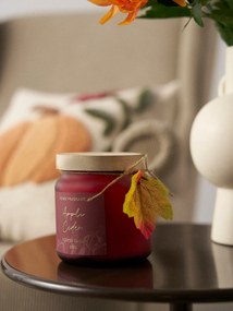 Sinsay - Svíčka Apple Cider - světle fialová
