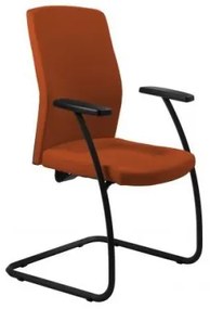 Jednací židle s područkami čalouněná PRIME - 253S 03 - 3D4985