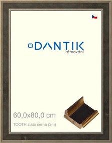 DANTIK rámeček 60x80 | TOOTH zlato černá (Plexi Čiré)