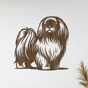 dřevo života Dřevěný obraz psa Pekingese Zvolte rozměr (cm): 40x39, Zvolte barvu dekoru: Ořech