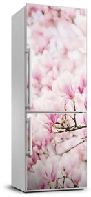 Wallmuralia Nálepka fototapeta Květiny magnolie 60x180 cm