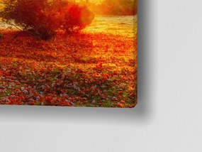 Liox Obraz strom v paprscích slunce Rozměr: 60 x 25 cm