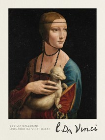 Obrazová reprodukce Cecilia Gallerani (The Lady with an Ermine) - Leonardo Da Vinci, (30 x 40 cm)