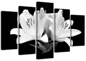 Obraz na plátně pětidílný Bílé lilie Květiny Příroda - 200x100 cm