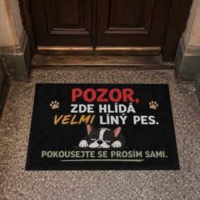 Mercury Flooring, Rohožka Líný pes 40x60 cm - na ven i na doma, 40x60, šedá