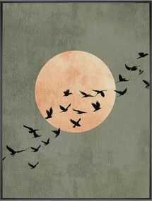Tištěný obraz s rámem 60x80 cm Midnight Flight – Styler