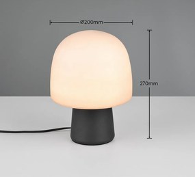 Černo-bílá stolní lampa se skleněným stínidlem (výška 27 cm) Steen – Trio