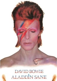 Plakát, Obraz - David Bowie - Aladdin Sane