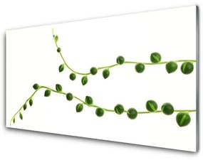 Obraz na skle Dekorativní Rostlina 100x50 cm