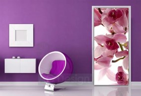 Fototapety na dveře - Vínová orchidej