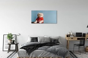 Obrazy na plátně sedící kočka 100x50 cm
