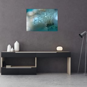 Skleněný obraz - Pampeliška - petrolej (70x50 cm)