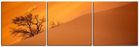 Obraz na plátně - Červené písečné duny - panoráma 5133B (120x40 cm)