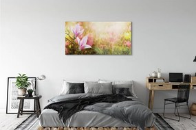 akrylový obraz Magnolie strom slunce 125x50 cm