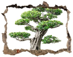 Wallmuralia Samolepící díra na stěnu Strom bonsaj 95x64 cm