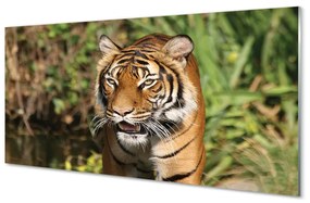 akrylový obraz Tiger Woods 125x50 cm