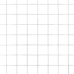 Pletivo ke kurníku pozinkovaná ocel 25 x 0,5 m stříbrné 143616
