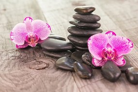 Samolepící fototapeta orchidej a Zen kameny na dřevě - 375x250 cm