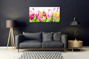 Obraz na skle Tulipány Květiny 100x50 cm