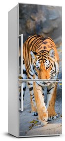 Wallmuralia Nálepka fototapeta lednička Tygr 60x180 cm