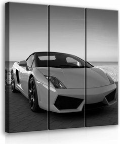 Obraz 90x100 Supercar Lamborghini Gallardo černobílé sportovní foto