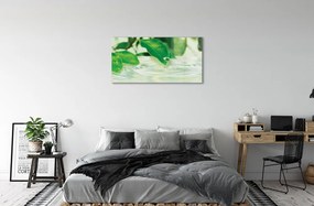 akrylový obraz Kapky vody listí 100x50 cm