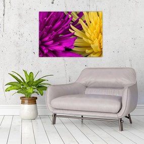Skleněný obraz - detail květů (70x50 cm)