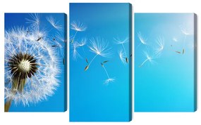 Vícedílný obraz Pampeliška S Létajícími Semeny Nedostatek Nedostatek Přírodní plátno 180x120