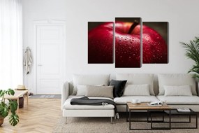 Vícedílný obraz Červené Jablko V Makro Měřítku Nedostatek Nedostatek Plátno Canvas 60x40