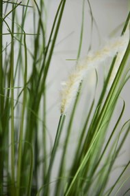 Umělá tráva HERBE, plast, výška 110 cm, zelená