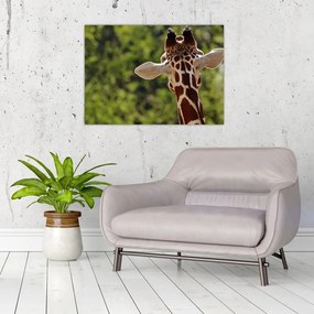Skleněný obraz žirafy zezadu (70x50 cm)