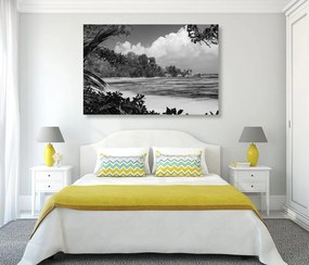 Obraz nádherná pláž na ostrově La Digue v černobílém provedení