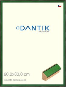 DANTIK rámeček 60x80 | INCLINATA colori zelená (Plexi Čiré)