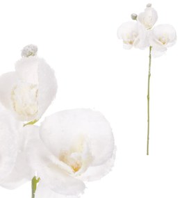 Orchidej, barva bílá KUC2606 WT