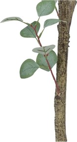 Umělý eukalyptus (výška 180 cm) Eucalyptus – Ixia