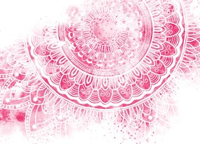 Malvis ® Tapeta Mandala růžová Vel. (šířka x výška): 432 x 290 cm