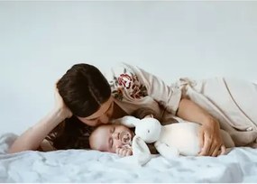 Moonie Uspávací  Zajíček 2.0 Organic Polar / od narození