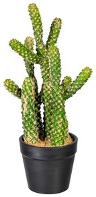 Gasper Umělý kaktus Euphorbia, 25 cm
