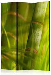 Paraván Bamboo - nature zen Dekorhome 135x172 cm (3-dílný)