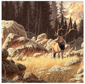 Obraz jelena (40x40 cm), 40 dalších rozměrů