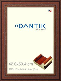 DANTIK rámeček 42x59,4 | ANGLIE hnědá Au linka (Plexi Čiré)