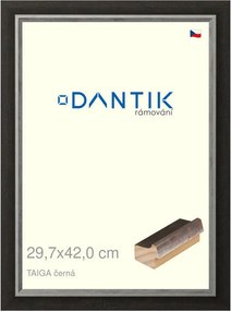 DANTIK rámeček 29,7x42 | TAIGA černá (Plexi Čiré)