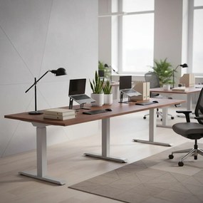 Výškově nastavitelný stůl OfficeTech Long, 240 x 80 cm, šedá podnož, ořech