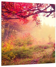 Obraz podzimní lesní krajiny (30x30 cm)