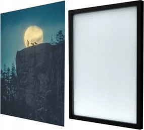 Podsvícený Tančící Obraz S Vlky rámeček černý Elegance Slim 40x50 Led