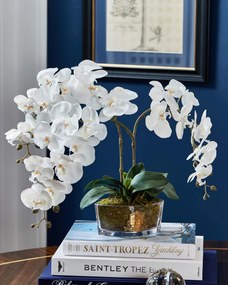 Côte Noire Orchid Bouquet kytice parfémovaných orchidejí Ivory White